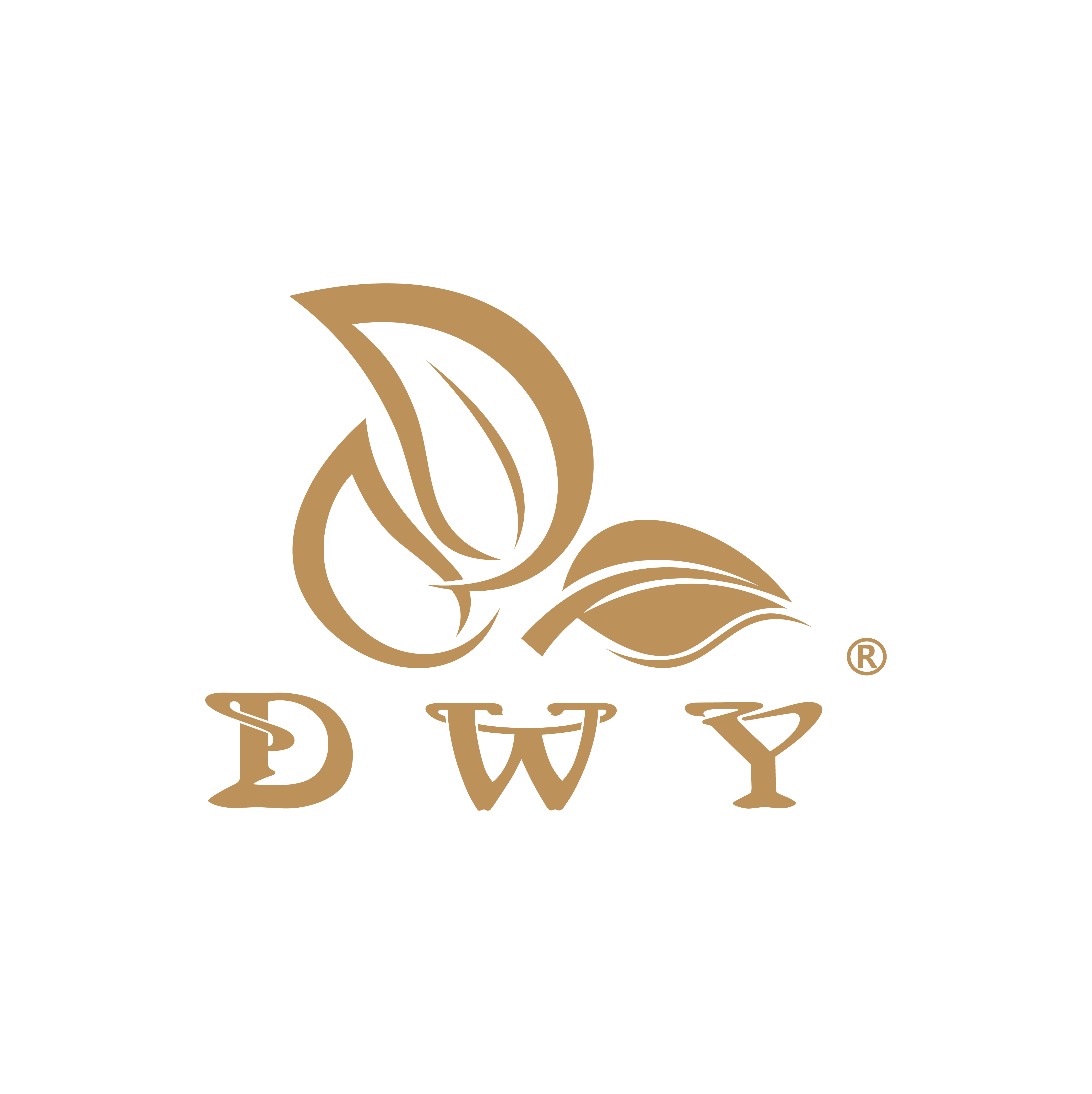 DWY Tissue – DwyLife.com